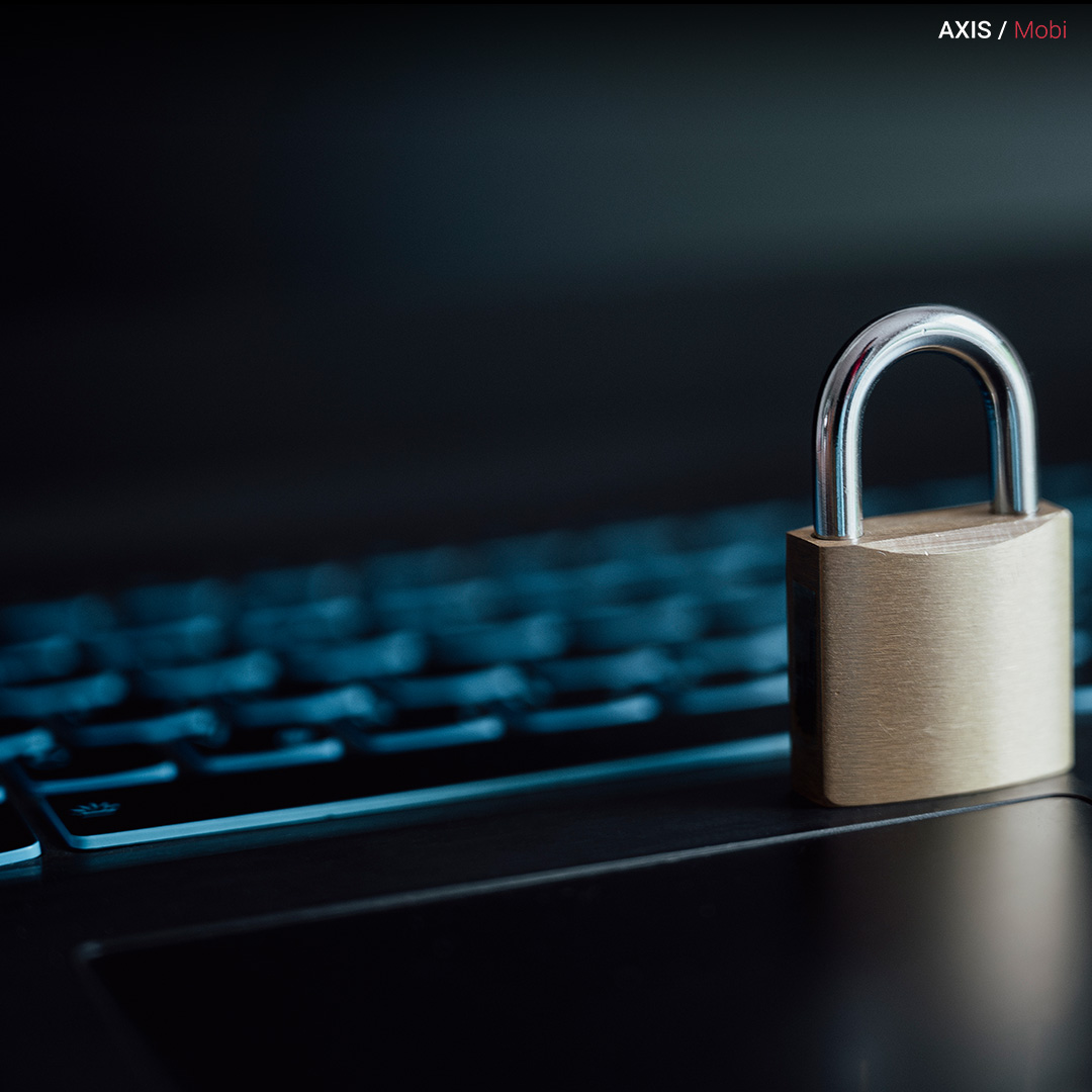 Adapting to Data Privacy Laws: Your Digital Age Guide